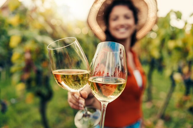 From San Francisco: Napa & Sonoma Valley Wine Tour with Tastings - Who Is This Tour Best For?