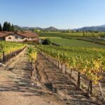 From San Francisco: Napa Valley Private Tour - The Flexibility and Comfort of a Private Napa Tour