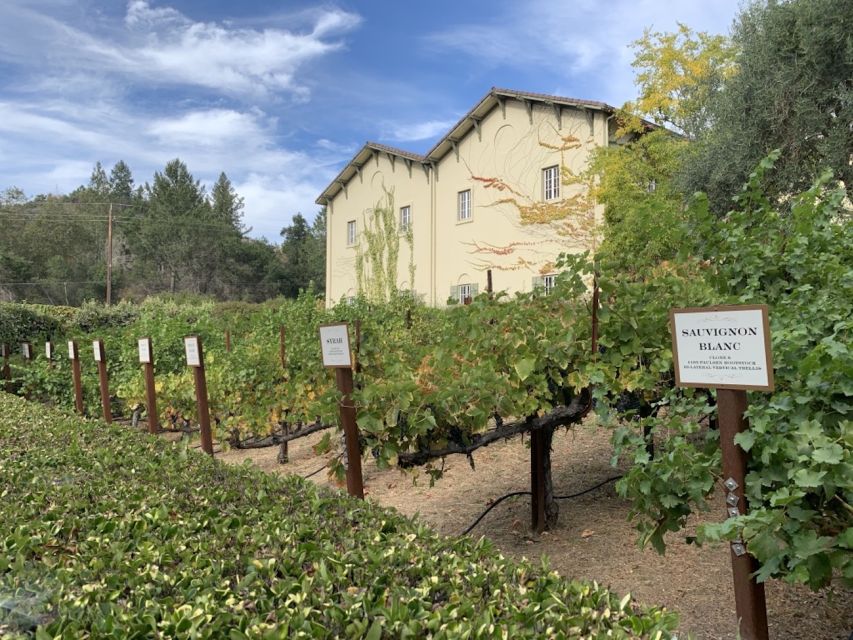 From San Francisco: Private Muir Woods and Napa Wine Tour - Wine Tasting: Savoring California’s Best