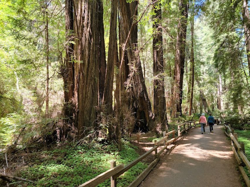 From San Francisco: Private Muir Woods and Napa Wine Tour - Scenic Stops and Photo Opportunities