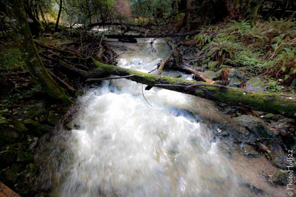 From San Francisco: Private Muir Woods and Napa Wine Tour - Who Will Love This Tour?