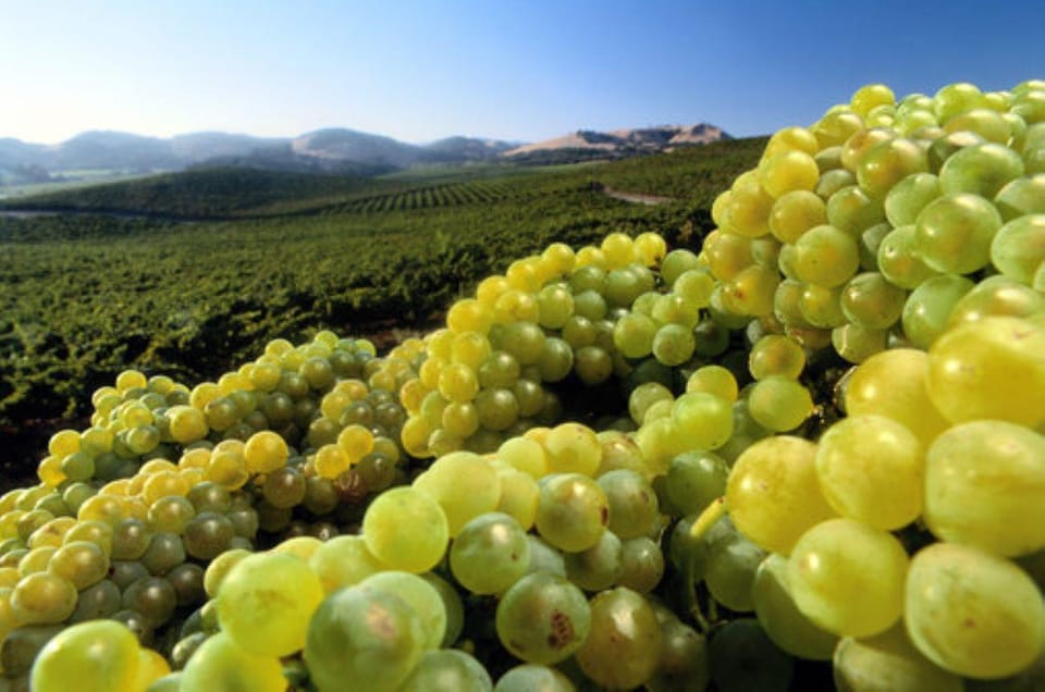 From San Francisco: Santa Rosa Wine Tasting Tour - An Authentic Look at the Santa Rosa Wine Tasting Tour