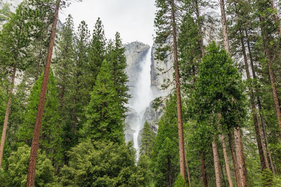 From San Francisco: Yosemite National Park Guided Day Trip - The Long Road Home