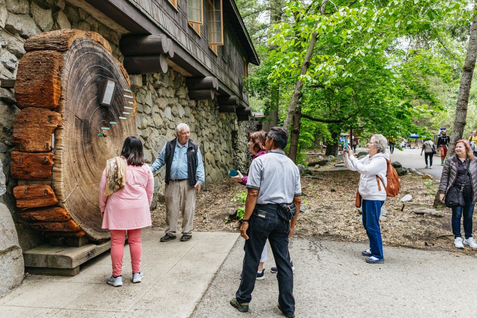 From San Francisco: Yosemite National Park Guided Day Trip - What’s Included and Whats Not