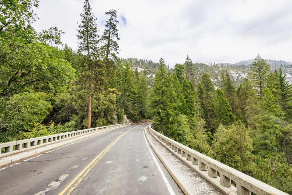 From San Francisco: Yosemite National Park Guided Day Trip - Who Will Love This Tour?