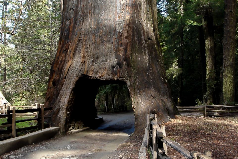 From San Francisco: Yosemite Private Full-Day Trip - Final Thoughts: Is This Tour Worth It?