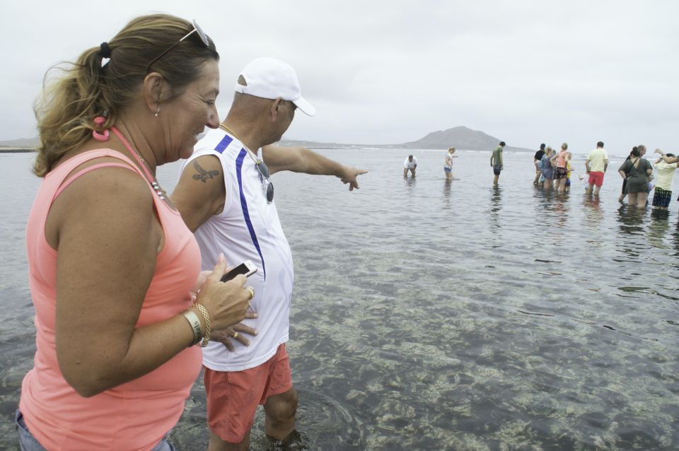 From Santa Maria: Guided Lemon Shark Watching - Frequently Asked Questions (FAQs)