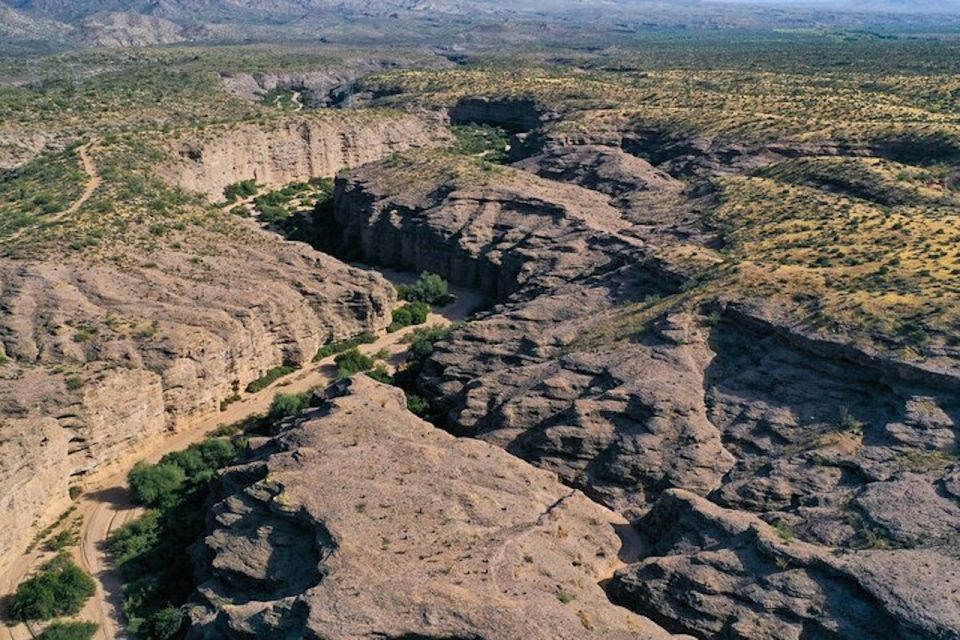 From Scottsdale: Sonoran Desert & Tonto National Forest Trip - Why This Tour Offers Great Value
