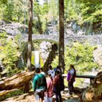 From Seattle: Customized Mount Rainier Tour - What to Expect on Your Mount Rainier Day Trip