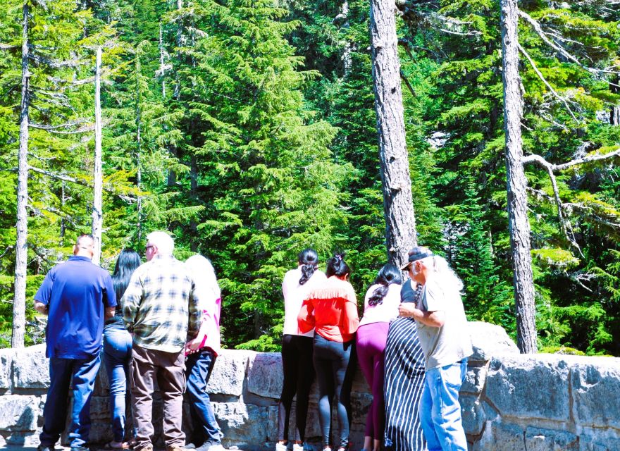 From Seattle: Customized Mount Rainier Tour - Who Is This Tour Best For?