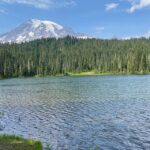 From Seattle: Full-Day Mt Rainier National Park Tour - The Highlights: Why This Tour Stands Out
