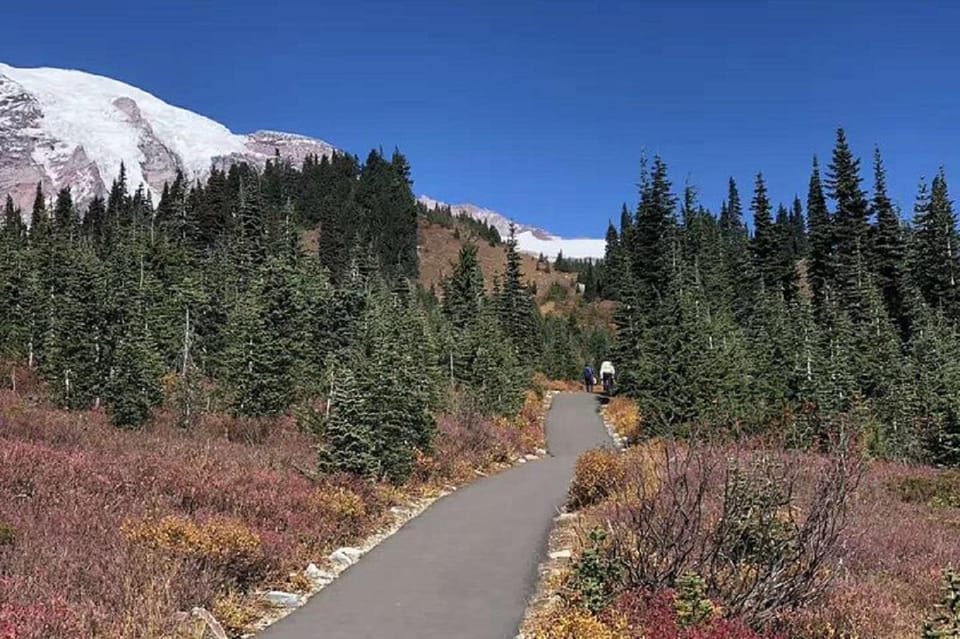 From Seattle: Mount Rainier National Park 1-Day Tour - Key Points