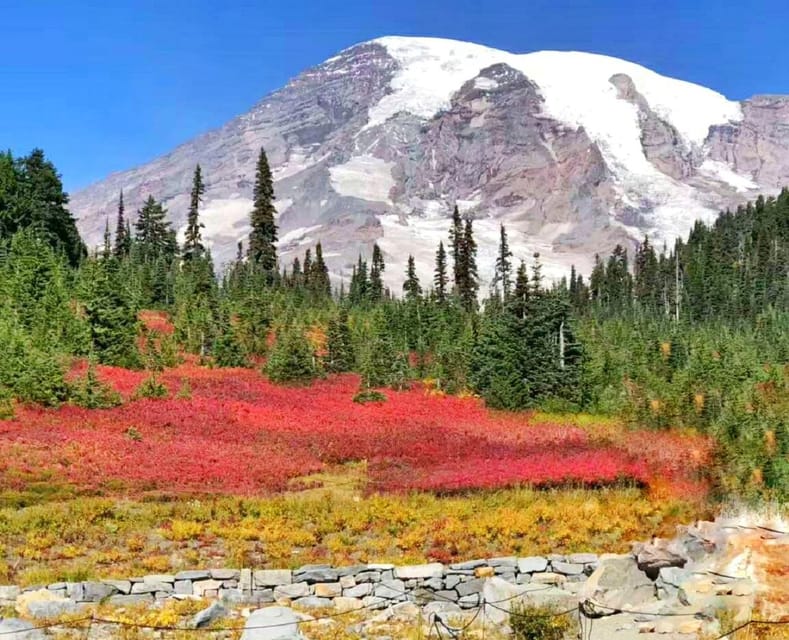 From Seattle: Mount Rainier National Park 1-Day Tour - How This Tour Enhances Your Visit to Mount Rainier