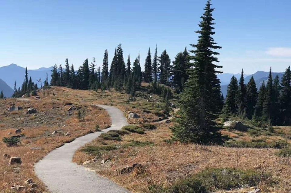 From Seattle: Mount Rainier National Park 1-Day Tour - Who Is This Tour Best Suited For?