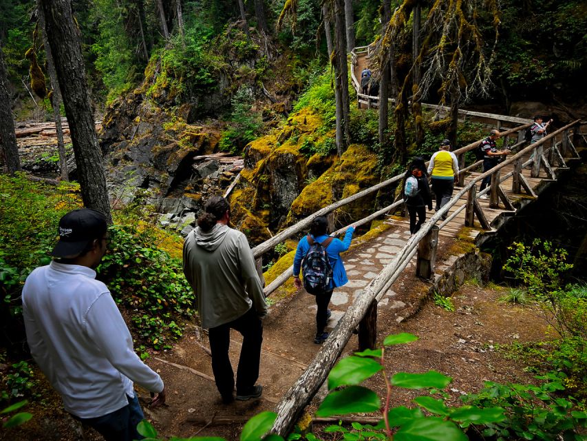 From Seattle: Mount Rainier National Park Guided Tour - Key Points
