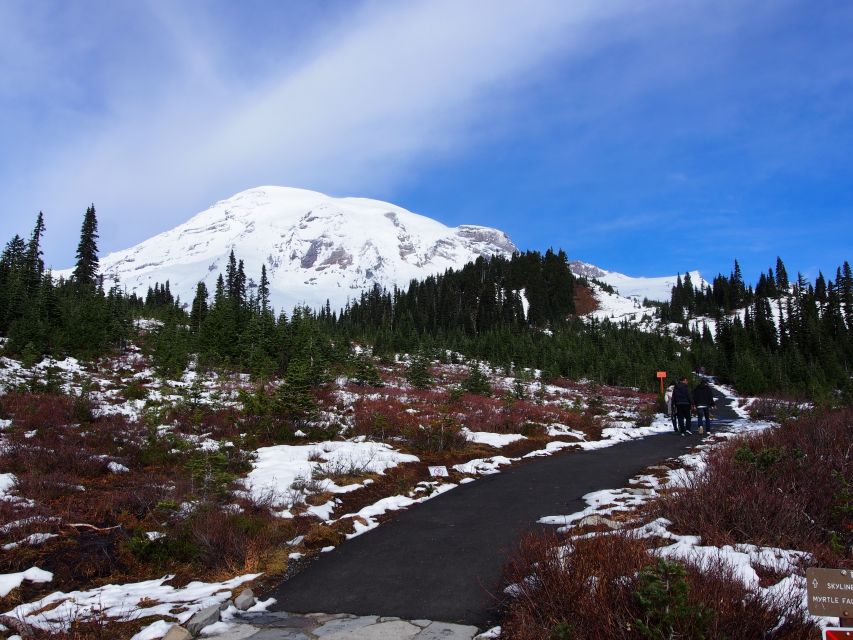 From Seattle: Mount Rainier National Park Guided Tour - Authentic Experiences and Insights from Reviews
