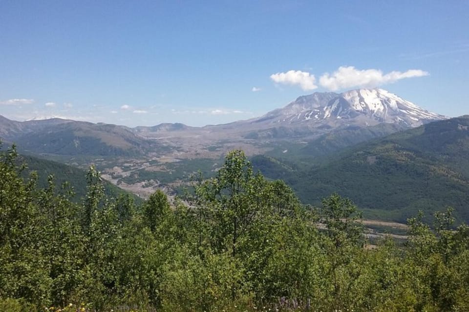 From Seattle: Mount Saint Helens Monument Private Day Trip - Why Choose This Tour?