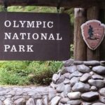 From Seattle: Olympic National Park Full Day Tour - An In-Depth Look at the Olympic National Park Full Day Tour