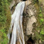 From Seattle: Pacific Northwest Waterfalls & Hiking Tour - The Experience from a Traveler’s Perspective