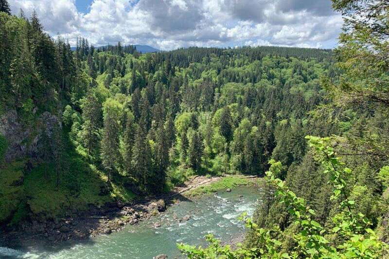 From Seattle: Pacific Northwest Waterfalls & Hiking Tour - Final Thoughts: Who Will Love This Tour?