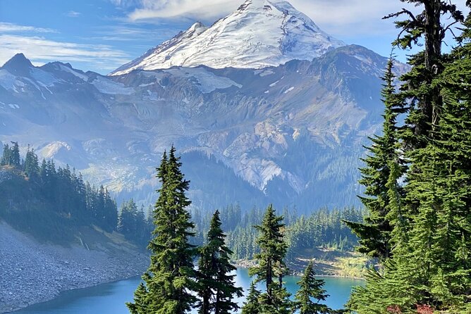 From Seattle - Private Mt Baker and Cascades Tour in SUV - What Travelers Say