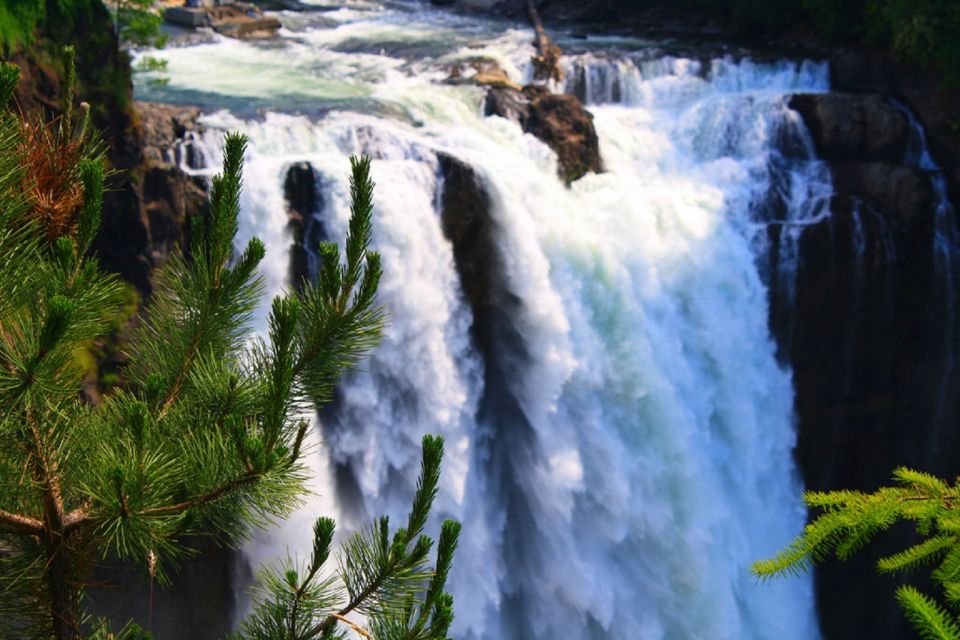 From Seattle: Snoqualmie Falls & Woodinville Wine Tasting - The Experience: What Travelers Say