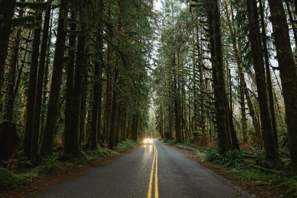 From Seattle: Twilight Forks Washington Tour - Detailed Review of the Twilight Forks Washington Tour