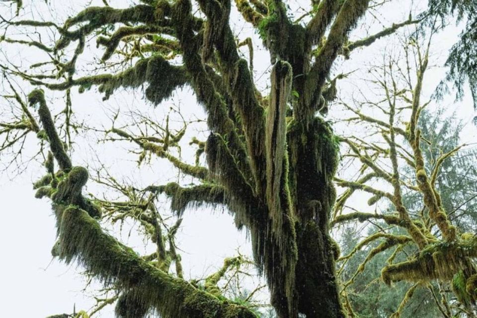 From Seattle: Twilight Forks Washington Tour - Frequently Asked Questions