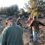 From Sedona: Archeology and Nature Hike - Who Would Love This Experience?