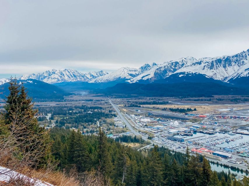 From Seward: 2-hour Wilderness Hiking Tour - Final Thoughts