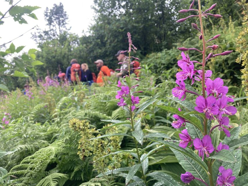 From Seward: 2-hour Wilderness Hiking Tour - FAQ