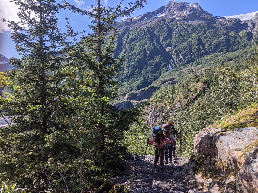 From Seward: 4-hour Wilderness Hiking Tour - An In-Depth Look at the Seward Wilderness Hiking Tour