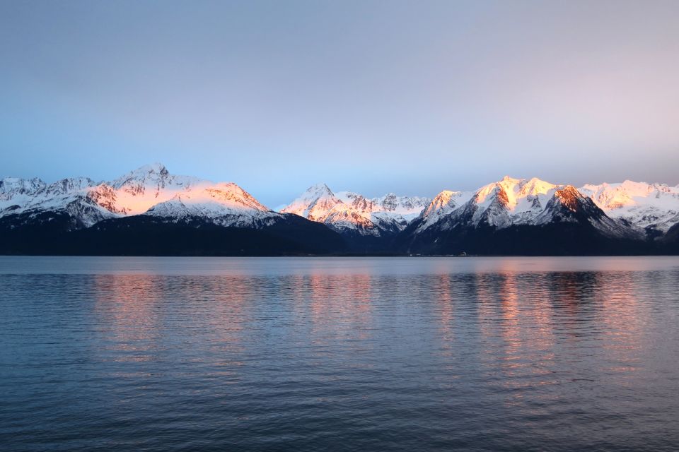 From Seward: Half-Day Resurrection Bay Wildlife Cruise Tour - Who Should Take This Tour?