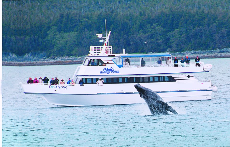 From Seward: Half-Day Resurrection Bay Wildlife Cruise Tour - Final Thoughts