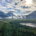 From Seward: Harding Icefield Trail Hiking Tour - Who Will Love This Tour?