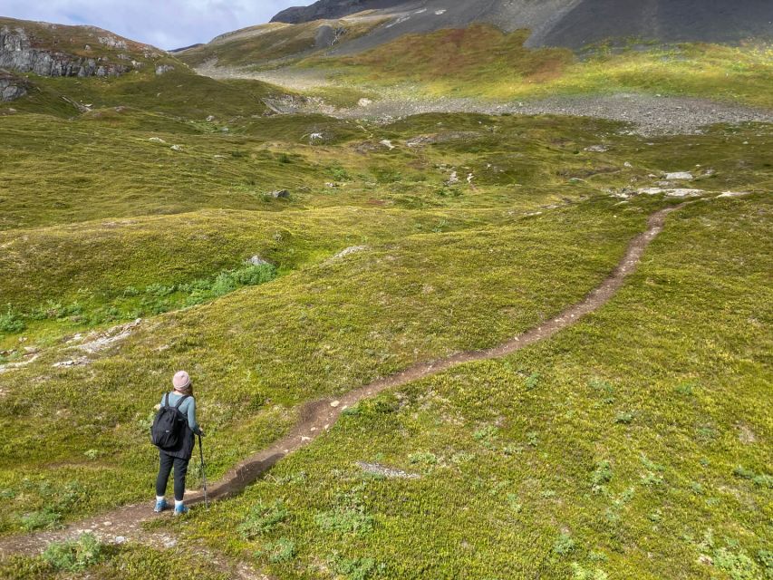 From Seward: Harding Icefield Trail Hiking Tour - The Sum Up: Is the Harding Icefield Trail Hike Worth It?