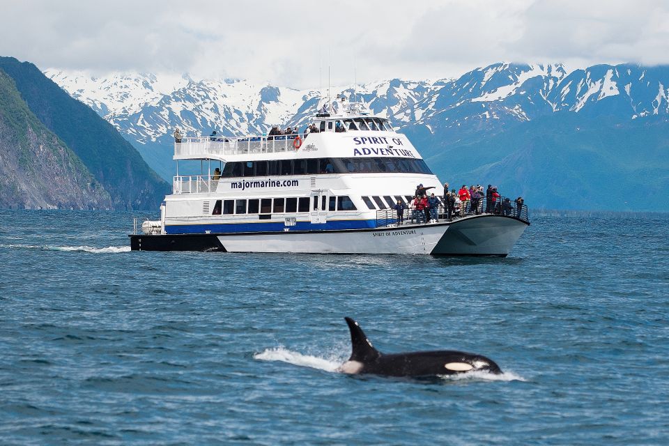 From Seward: Kenai Fjords National Park Cruise with Lunch - Key Points