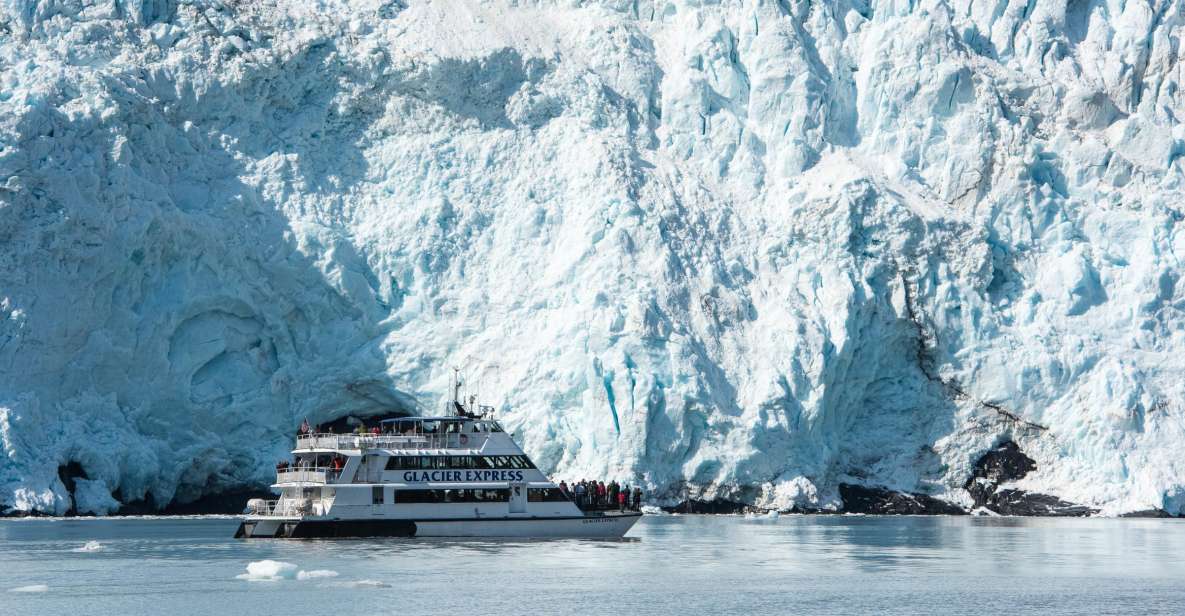 From Seward: Kenai Fjords National Park Cruise with Lunch - What to Expect During the Tour
