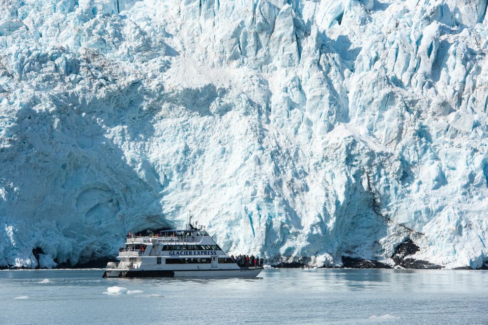 From Seward: Kenai Fjords National Park Cruise with Lunch - The Food and Comfort Level
