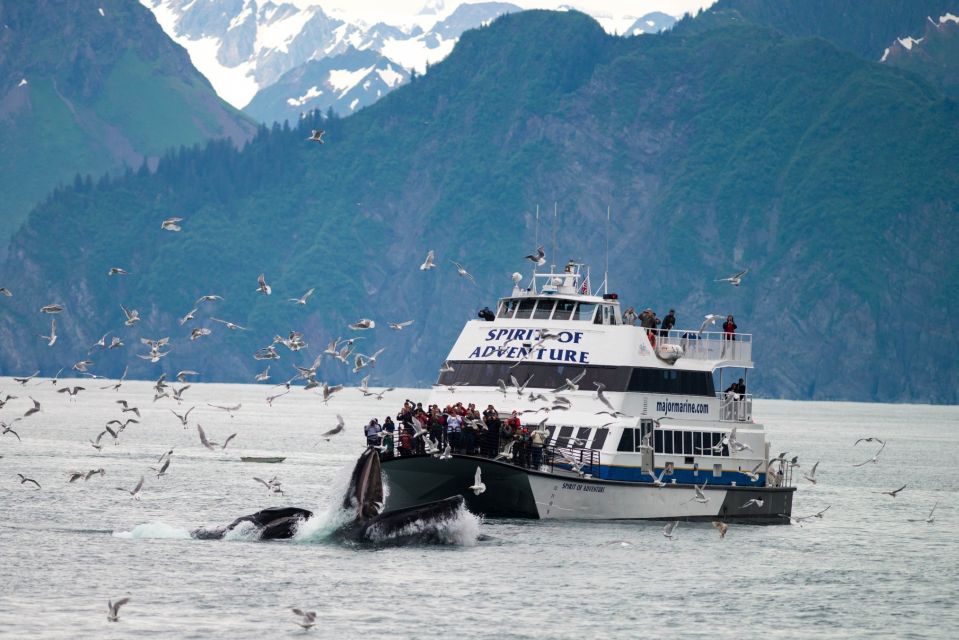 From Seward: Kenai Fjords National Park Cruise with Lunch - Pricing and Value for Money