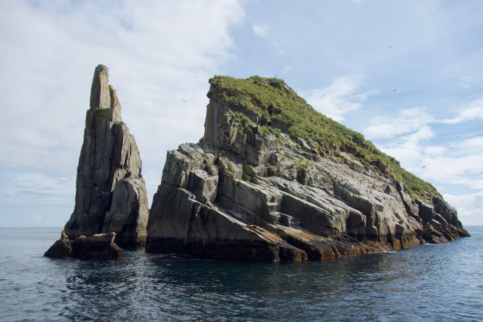 From Seward: Kenai Fjords National Park Cruise with Lunch - Practical Tips for Your Trip
