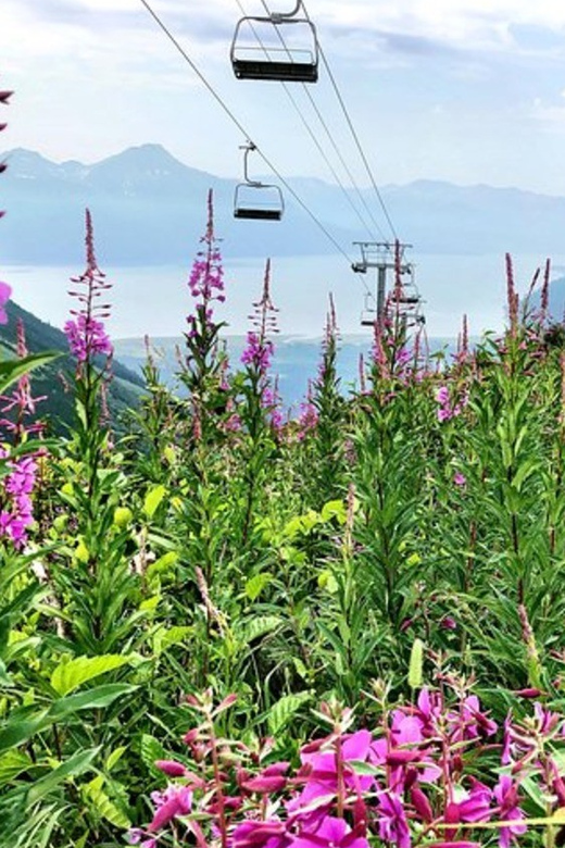 From Seward or Whittier: Guided Craft Tour and Ship Transfer - FAQs