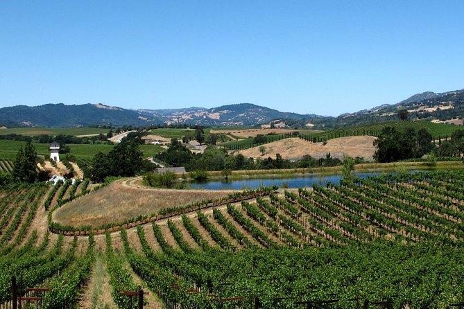 From SF : -8hr- Private Wine Tour & Custom Concierge.XL SUV - The Experience in Detail