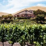 From SF : -8hr- Private Wine Tour & Custom Concierge.XL SUV - Who Would Love This Tour?