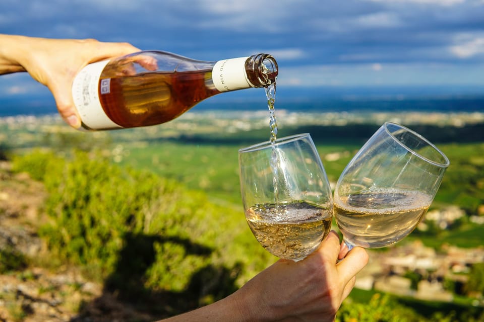 From SF: Alcatraz Day Tour, Muir Woods Visit & Wine Tasting - Transportation, Value, and Practicalities
