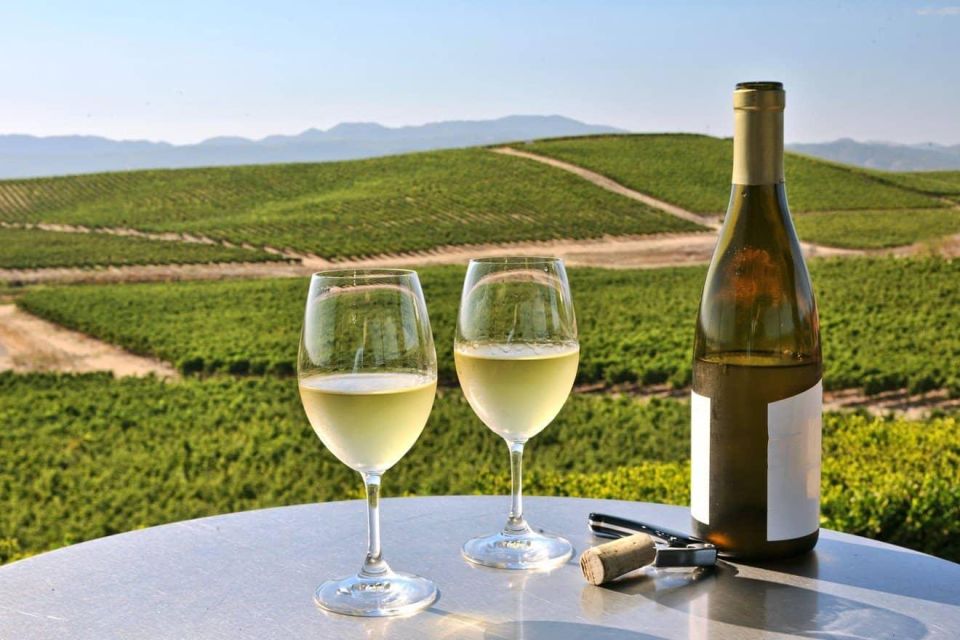 From SFO - Enchanted Napa & Sonoma Wine Tour in SUV - Winery Visits: Castello di Amorosa and Mayo Family Winery