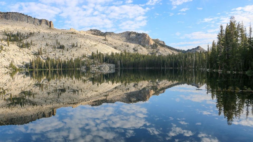 From SFO-Yosemite National Park-Enchanting Full Day Tour - Key Points