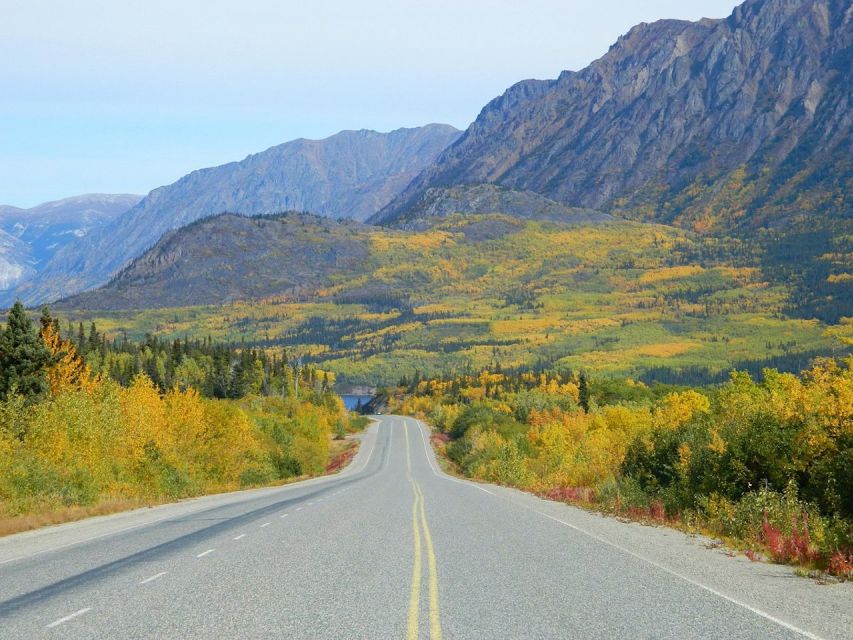 From Skagway: Skagway City & White Pass Summit Guided Tour - Skagway: The Town’s Charm and History