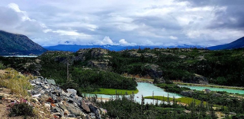 From Skagway: Skagway City & White Pass Summit Guided Tour - Wildlife and Nature