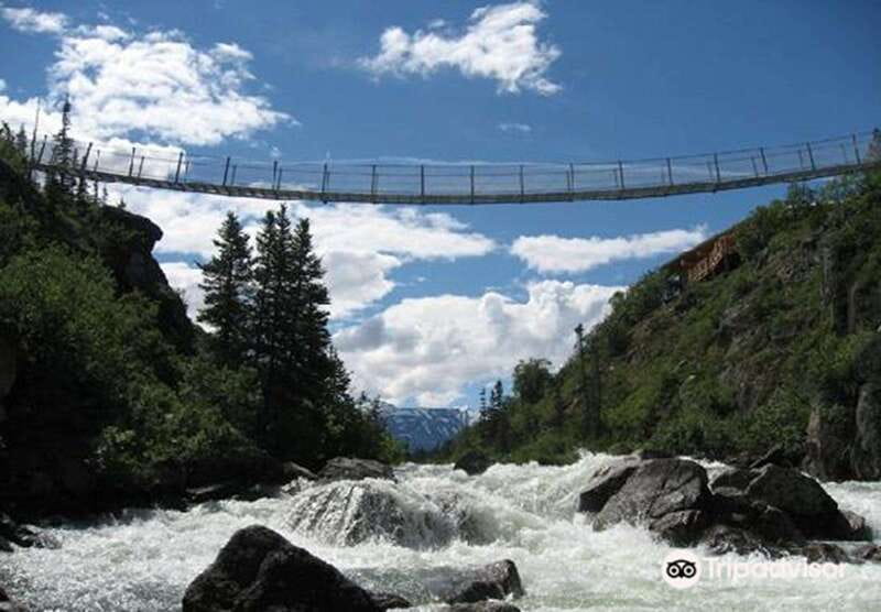 From Skagway: White Pass and Yukon Suspension Bridge Tour - Crossing into Canada and the Subarctic Tundra
